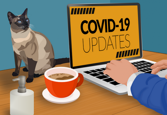 Covid cat | Association for Progressive Communications